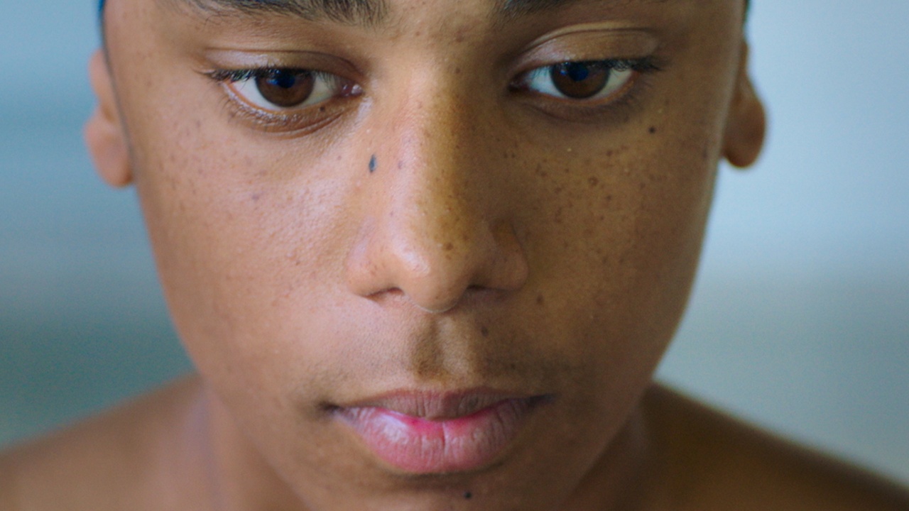 Het Leven van Esteban | Dalton Distribution