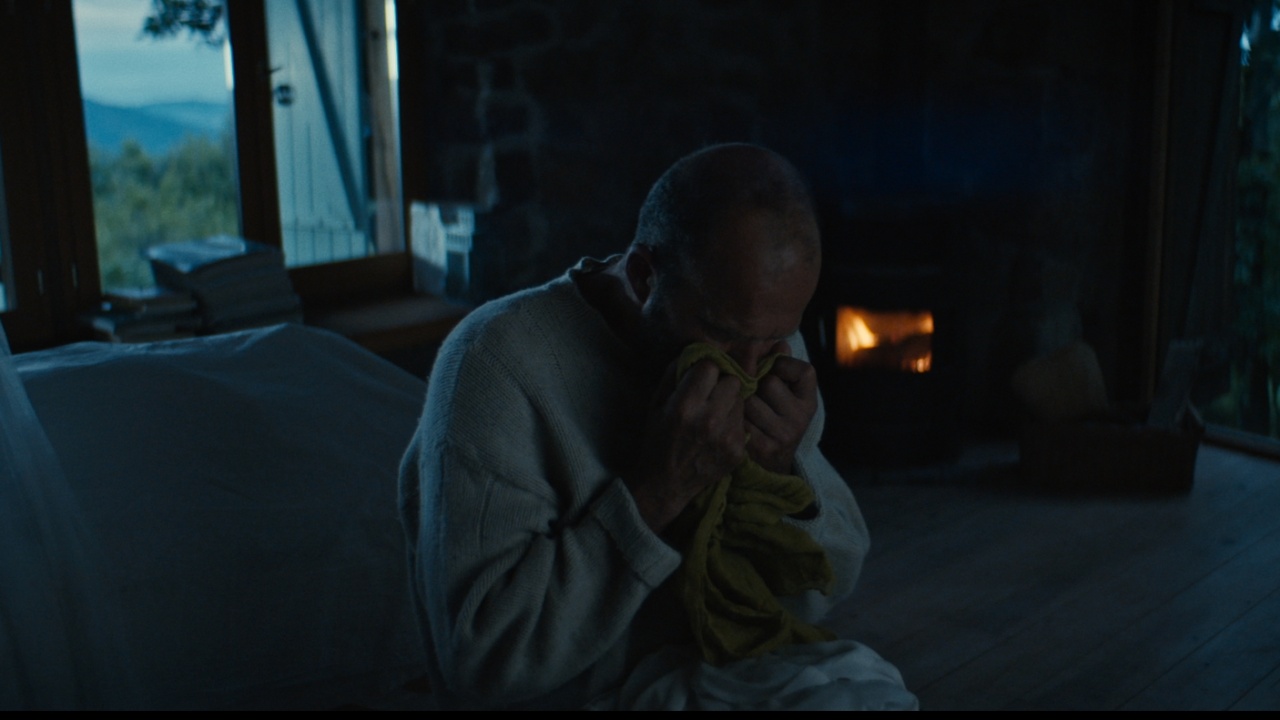 Meander | Dalton Distribution